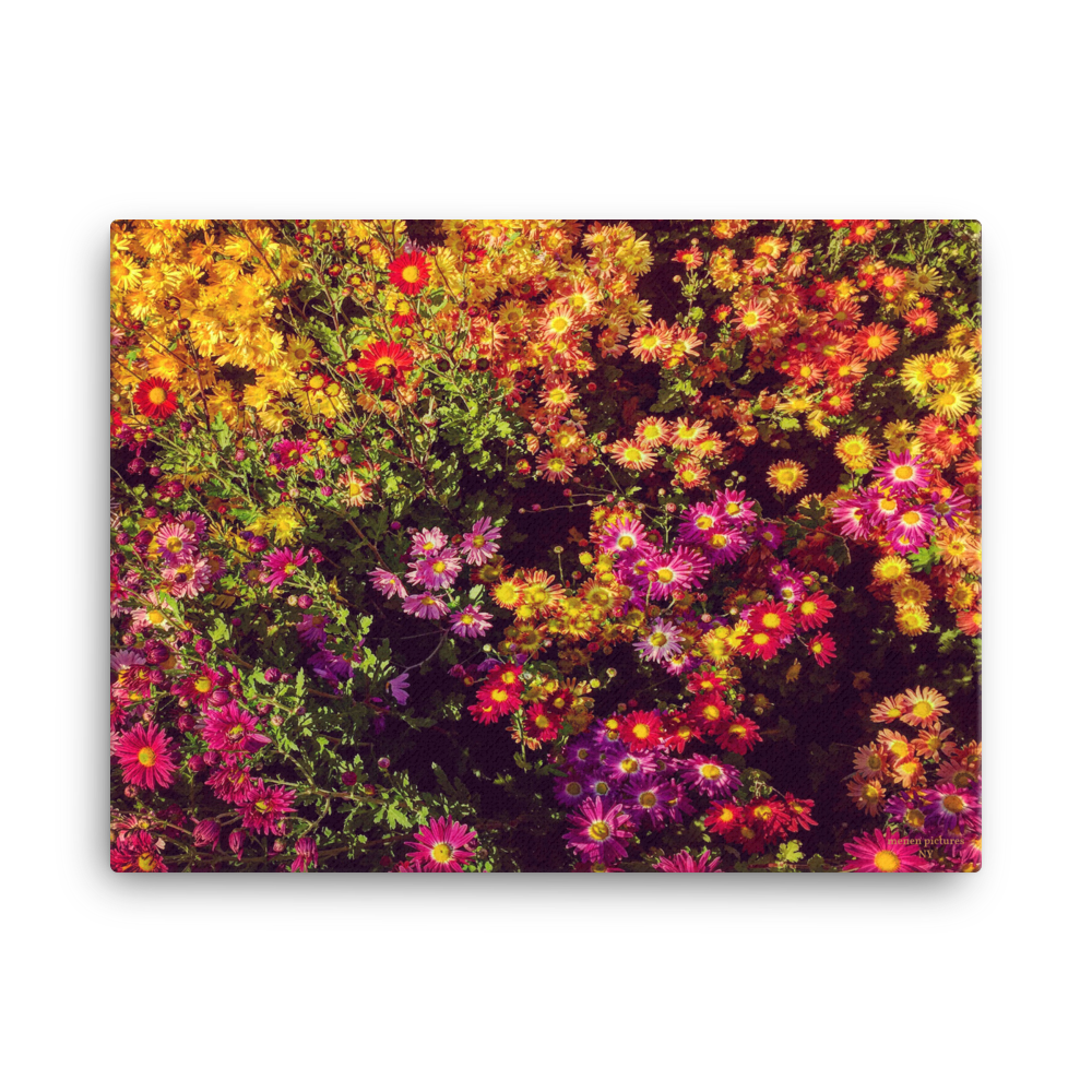 Canvas – Menen Pictures Shop
